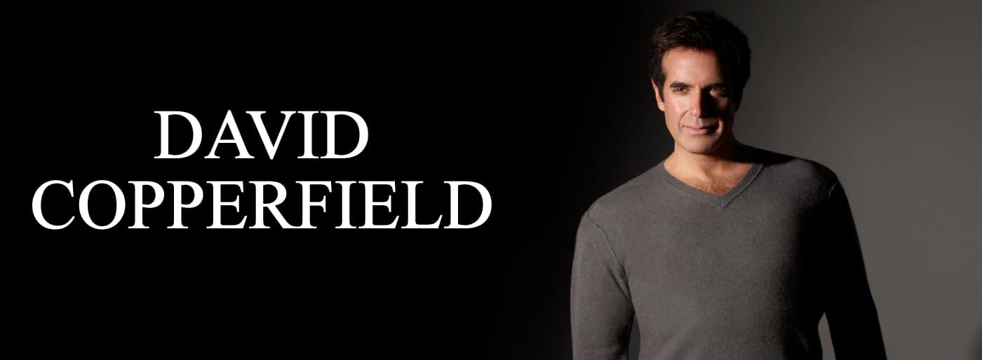 Activities at MGM Grand - LV Monorail